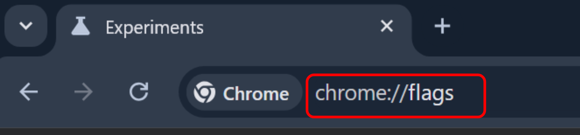 Chromeに組み込まれたAI: Gemini Nanoをコーディングしましょう！